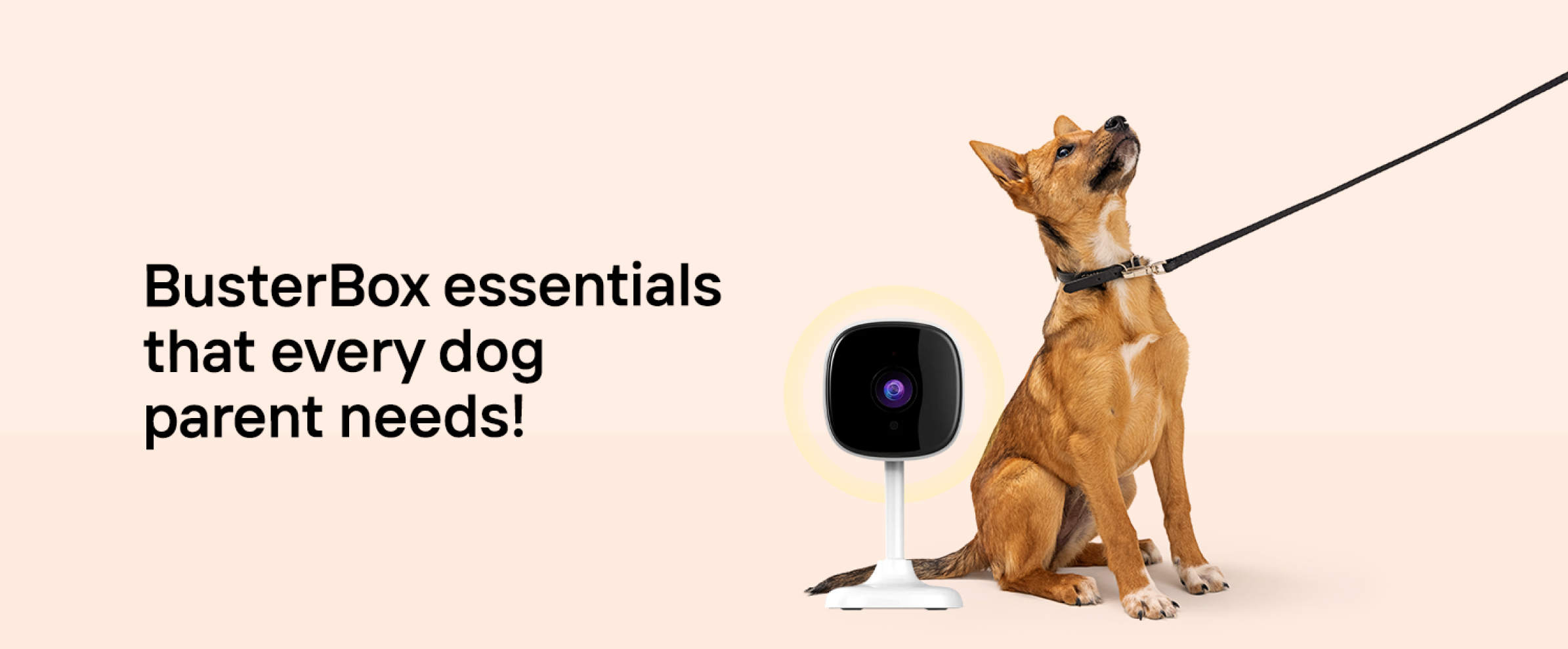 Buster Essentials – BusterPets